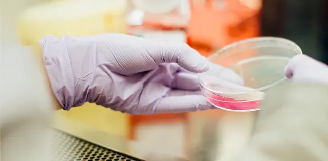 All Science Courses | Science | The Open University