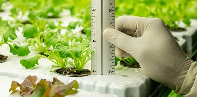 Science Project Module: Biology | Open University | SXB390