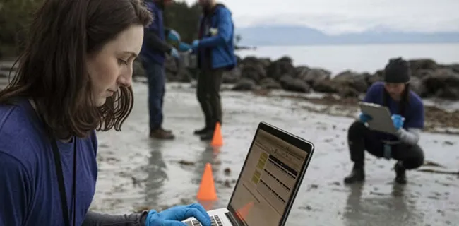Environment Degrees Environment The Open University